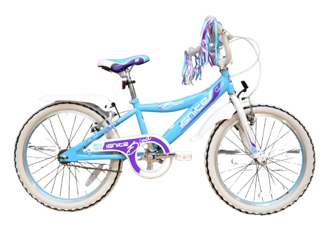 Ignite Diva 20" Girls Bike | Stylish & Durable Bike for Young ...
